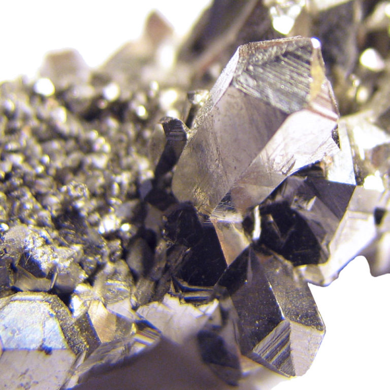 Niob Ankauf in Berlin: Papierfritze.de